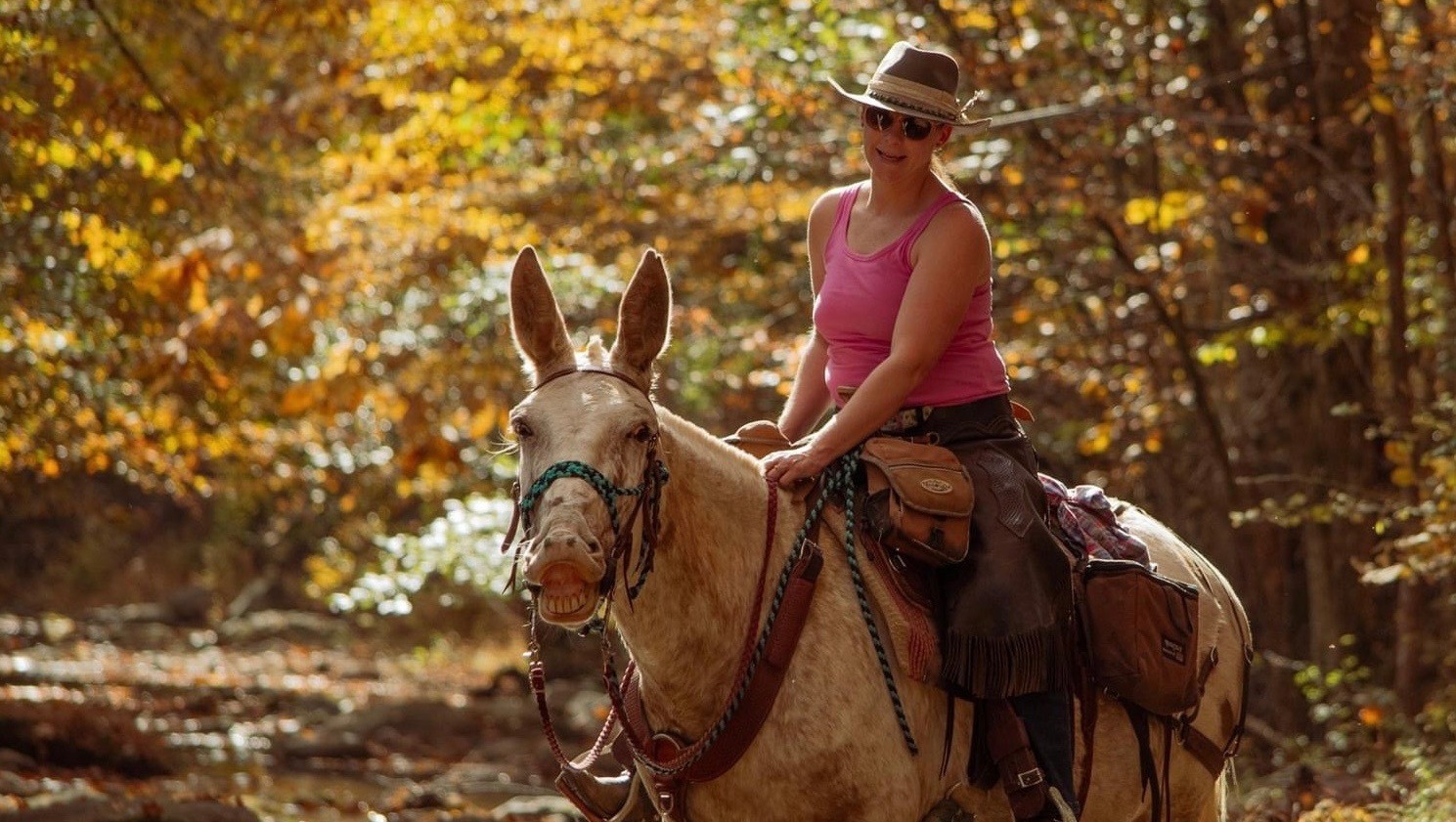 Fundraiser by Ashleigh Mentzer : Support Lisa Naab Madagan's Healing ...