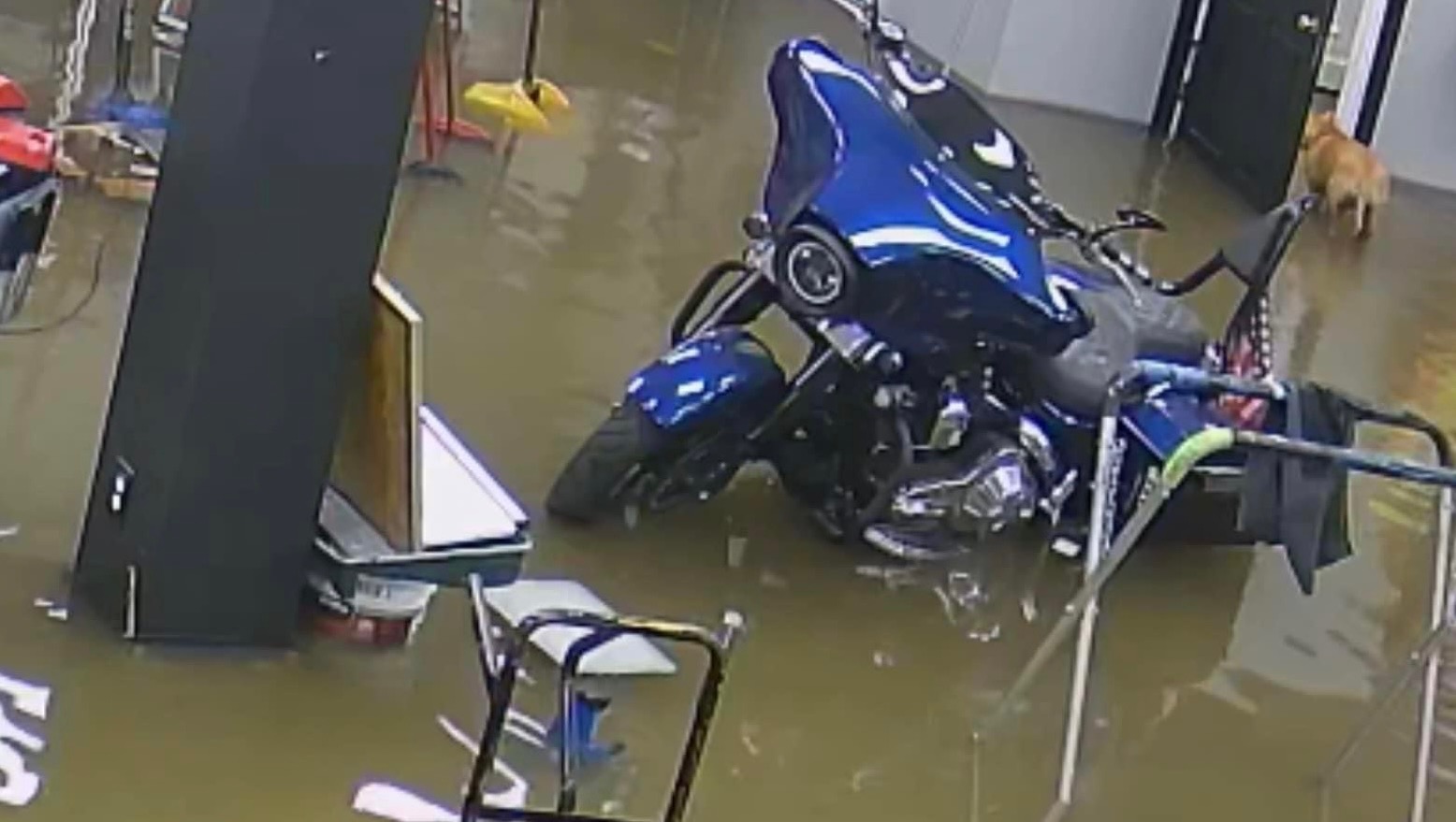 Fundraiser for Christopher Poletti by Michael Farina : Help Rebuild ...