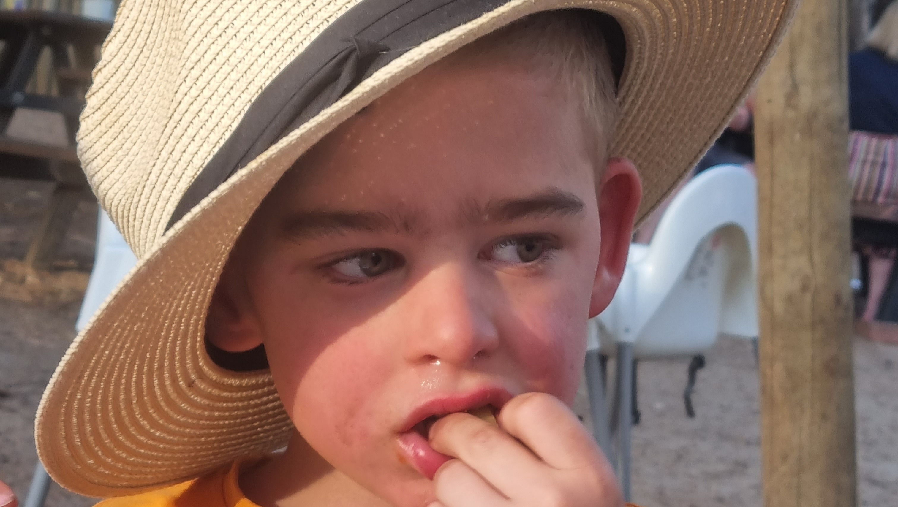 Fundraiser by Clare Temperton : Archie's Assistance Animal Army