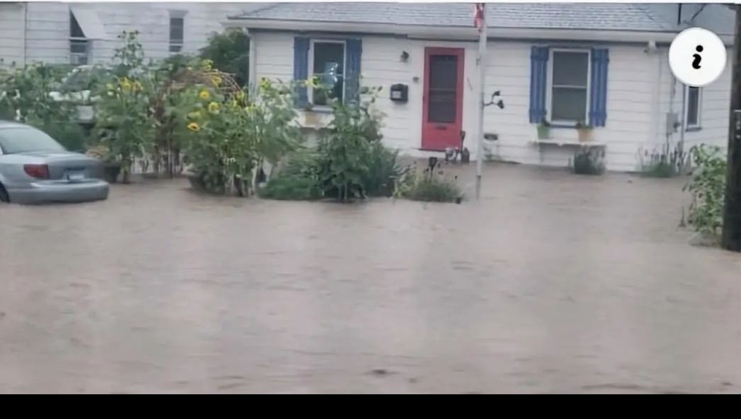 Fundraiser for Denise Figueroa by Kate Baker Lowry : Support Denise and ...