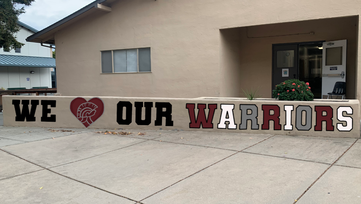 Fundraiser for Rajesh Bhatia by Rashmi Bhatia : Rashmi Bhatia's Eagle ...