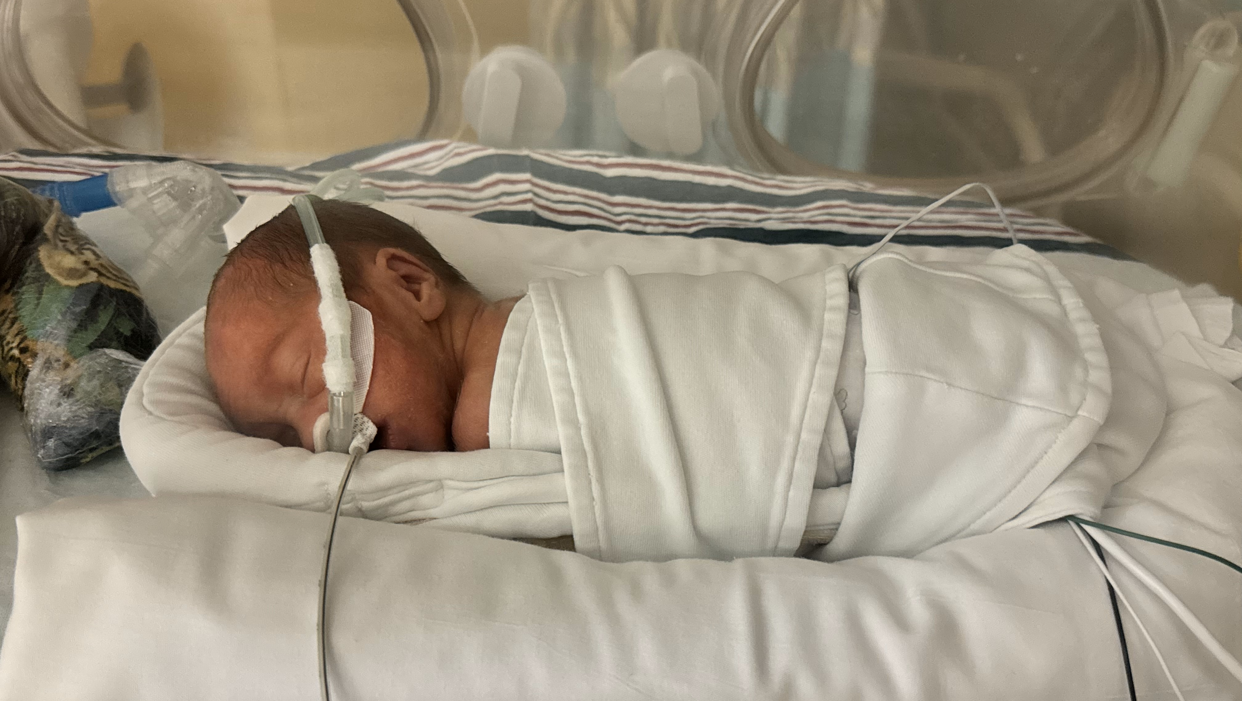 Fundraiser for Layton Dew by Andrew Culpepper : Support Layton and Jo ...