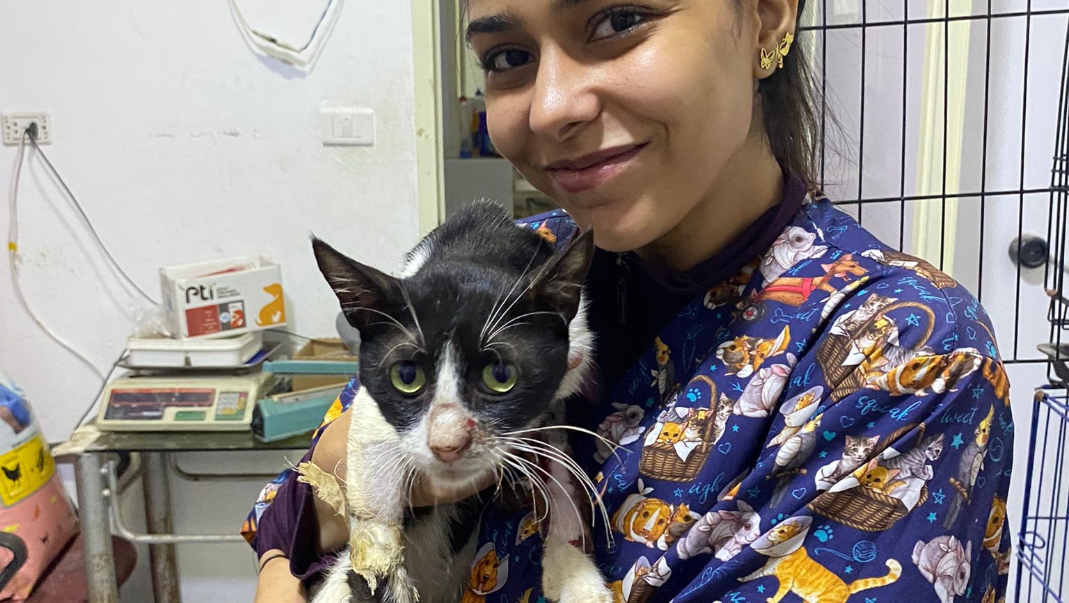 Fundraiser by Chris Hames : Please donate to help Chess the Cats ...