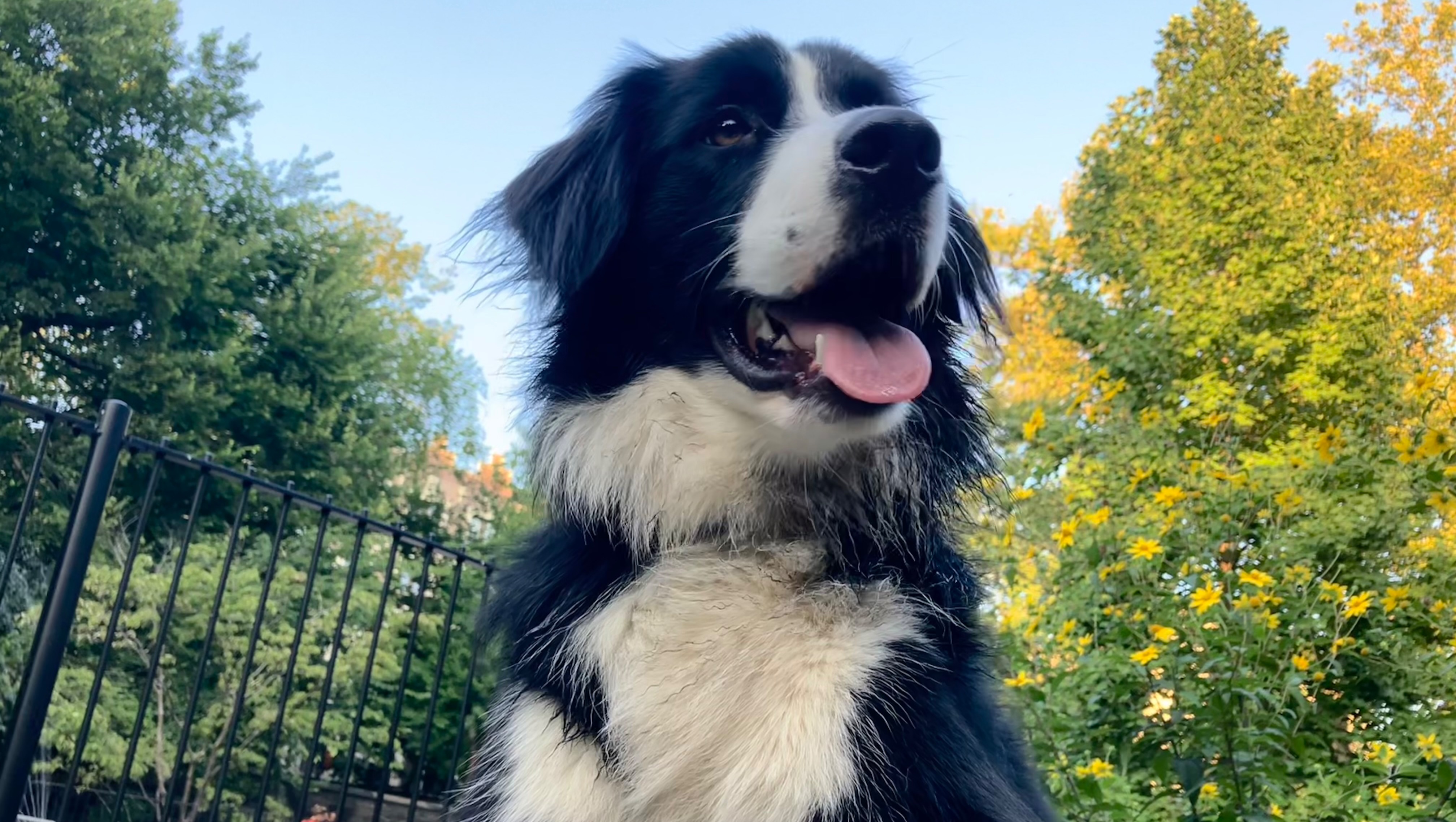 Fundraiser by Lara Goodman : Total Hip Replacement Surgery for Marcy