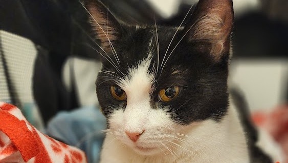 Fundraiser by Jamie Minnick : Support Chrissy's End of Life Journey