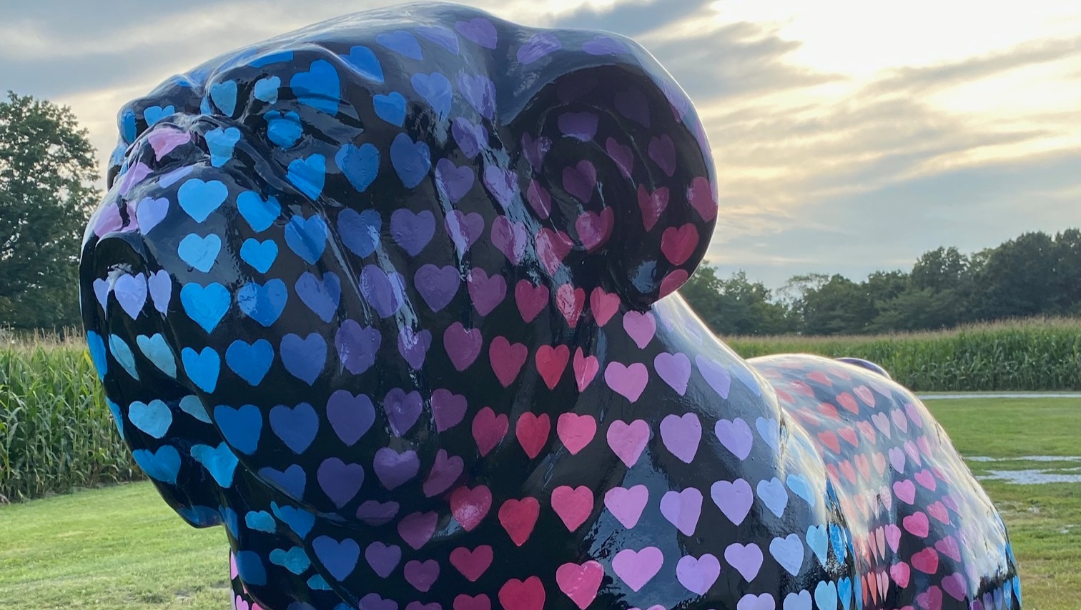 Fundraiser by Karen Blakeley : Have A Heart Build A Dream--McDonough ...