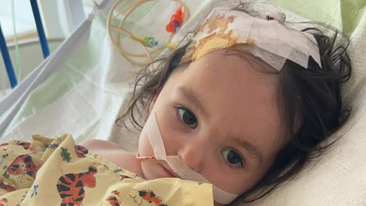 Fundraiser for Ashley Molnar by Ashley Penrod : Support for Rayvin and ...