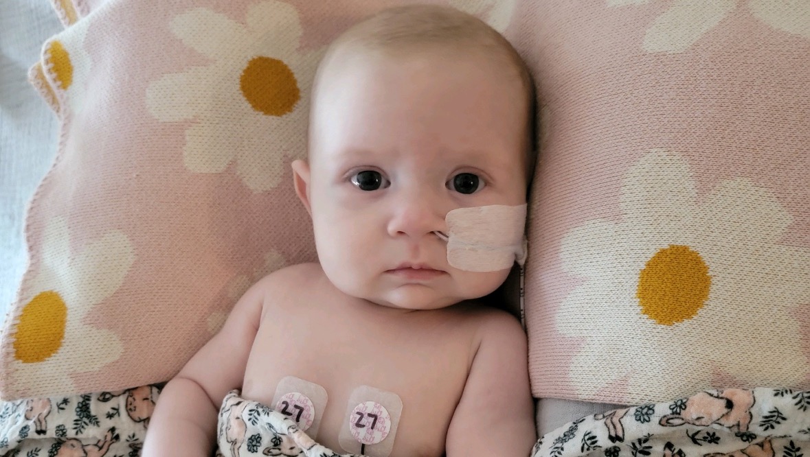 Fundraiser for Molly Howell by Emma Wetter : Millie's Heart