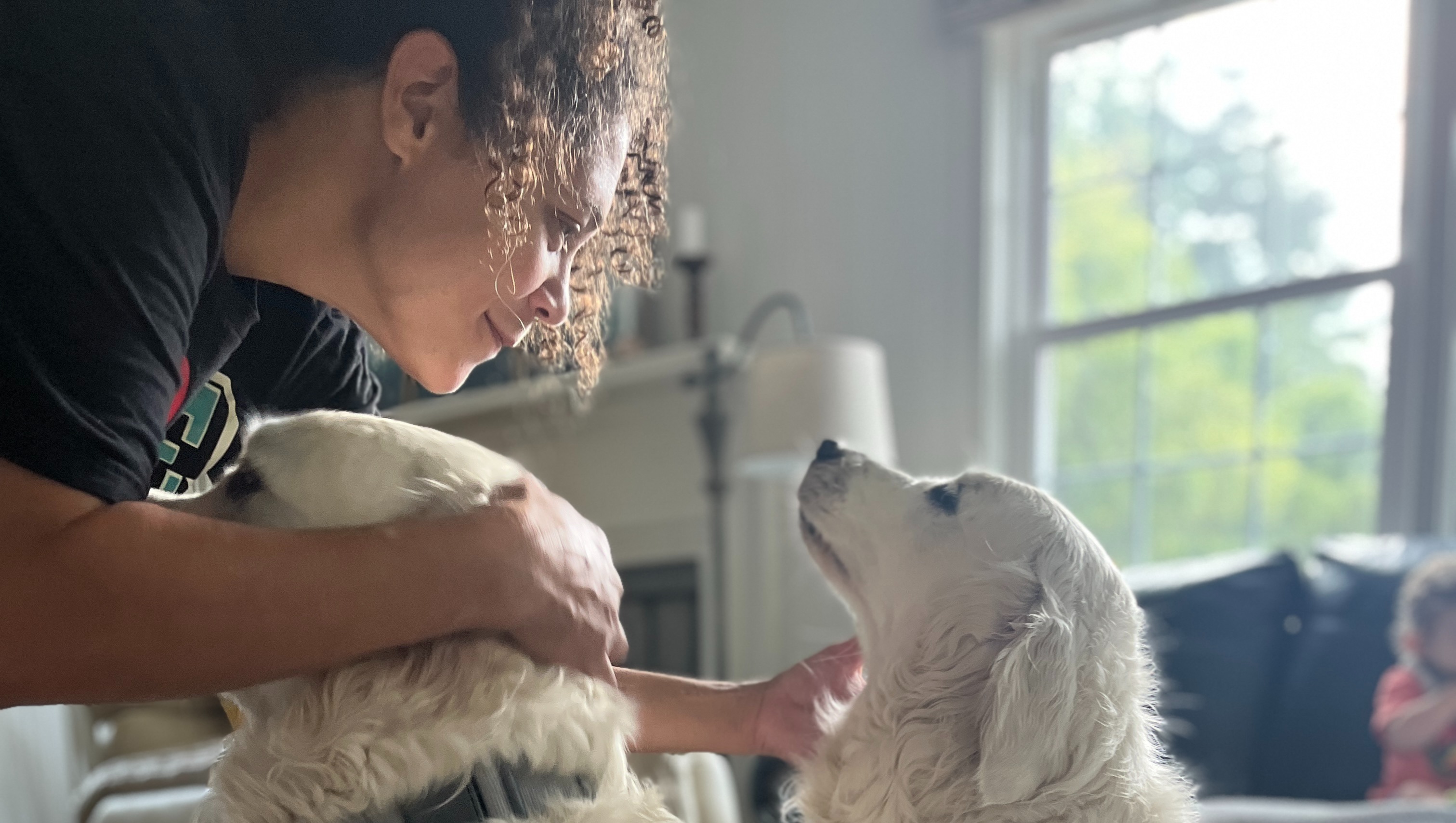 Fundraiser by Sidney Reid : Help Fulfill a Passion for Sled Dog Training