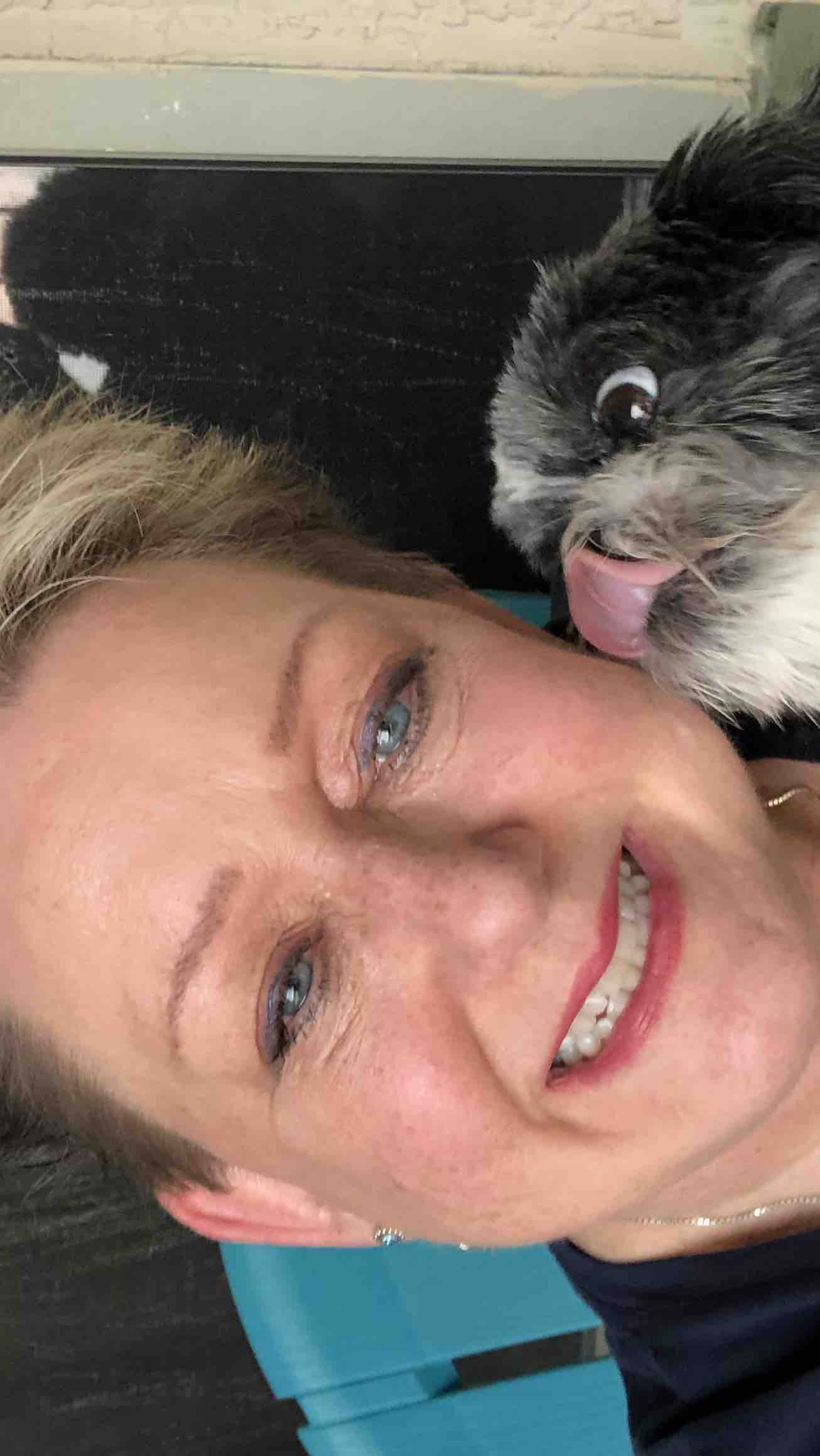 Fundraiser by Lynne Gaylor James : Help me Recover, Rebuild, Relocate