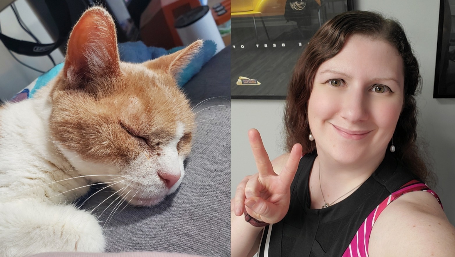 Fundraiser by Hillary Szymoniak : Support Hillary's Recovery and Yumeko's Care