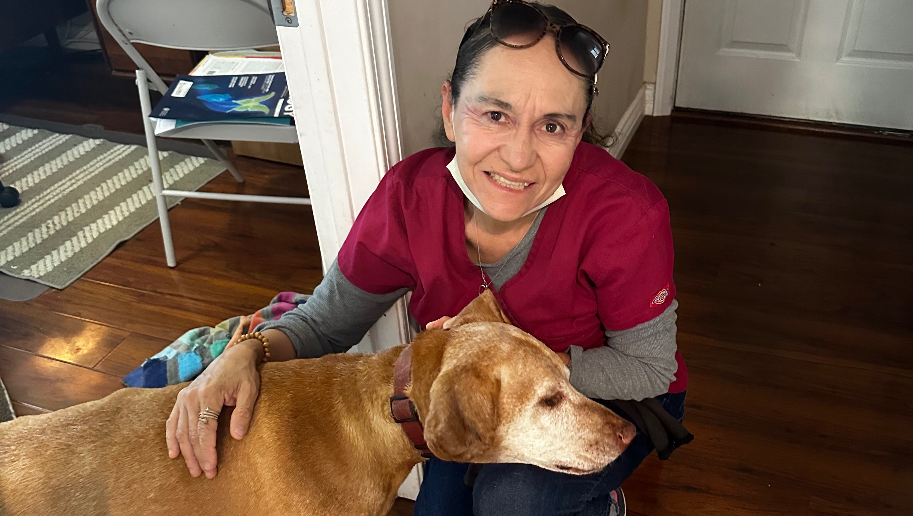 Cagnottes organisées par Andrea Goldman : Help Maria Amarillas get back ...