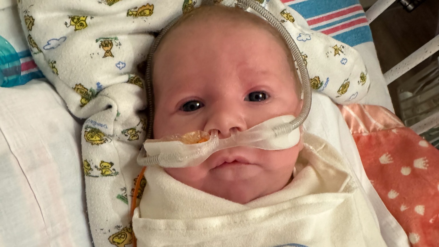 Fundraiser for Lindsey Stiefvater by Maureen Roderick : Support Lindsey ...