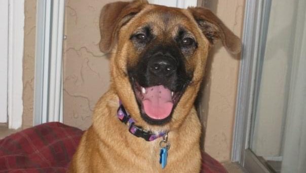 Fundraiser for Denise Colbert by Brooke Parson : Support Denise with ...