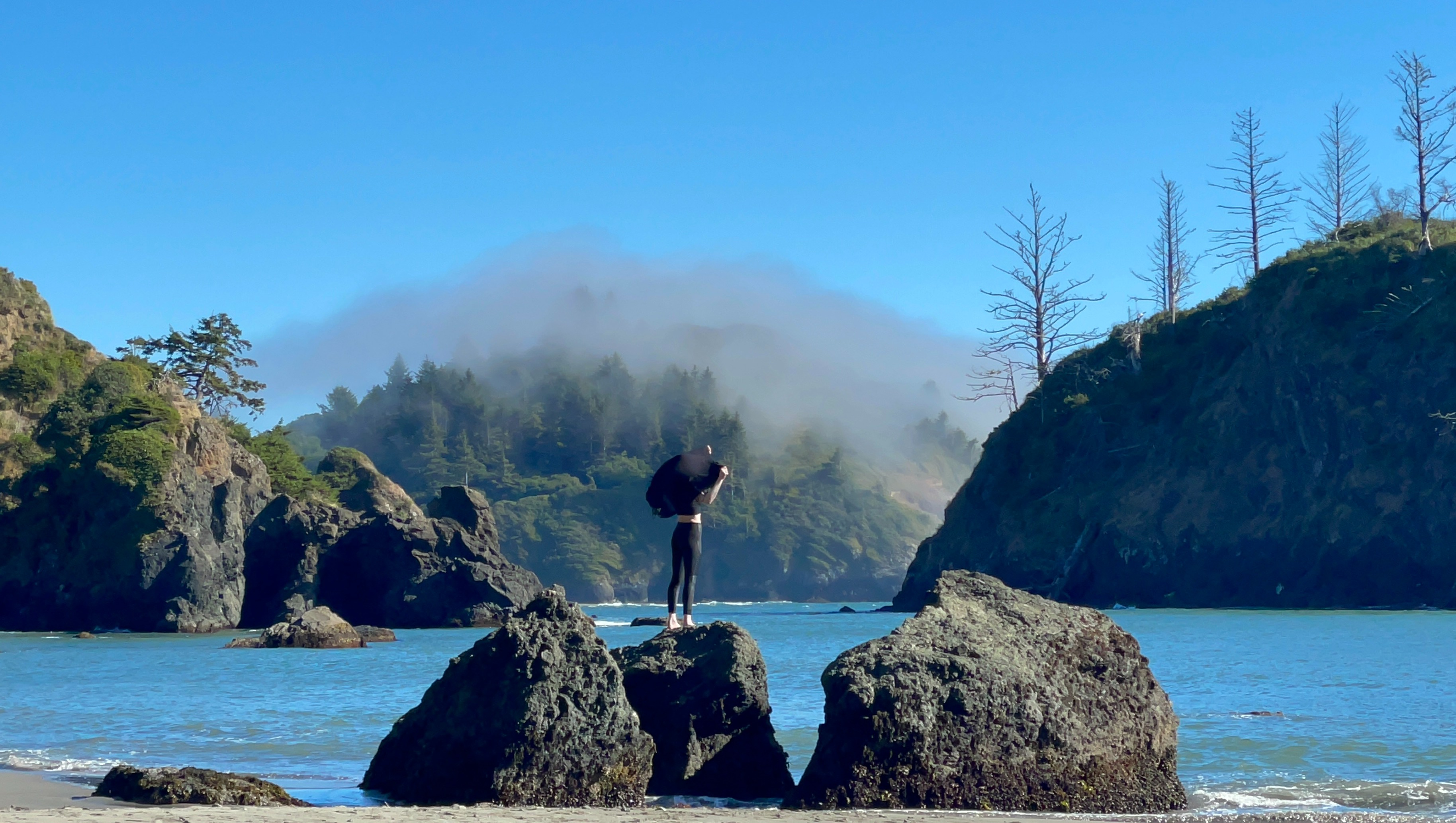 Fundraiser by Rachel Lively : Help Me Create Space for Healing