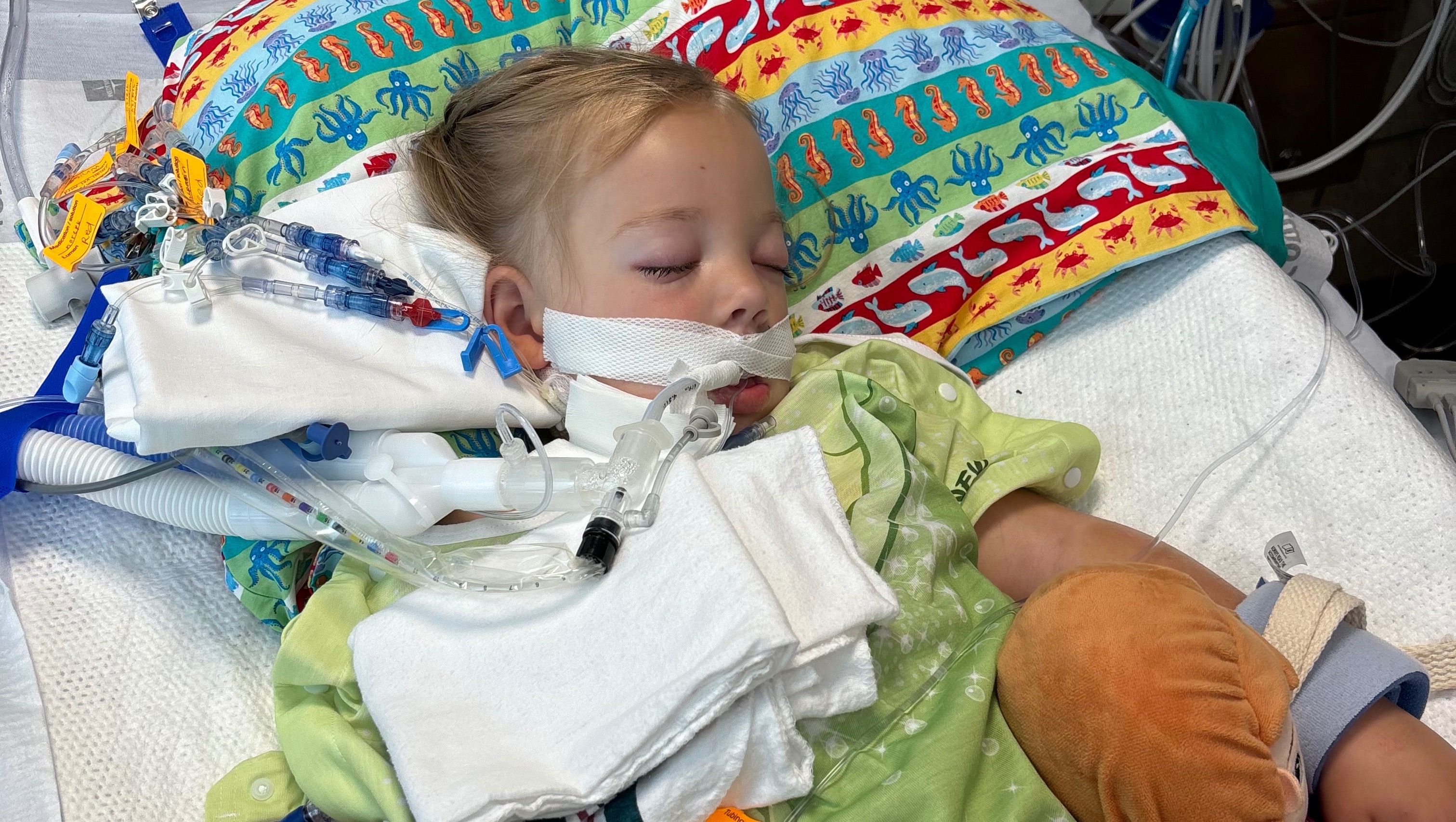 Fundraiser for Kyle Meadows by Shannon Kappler : Aid Piper's Family ...