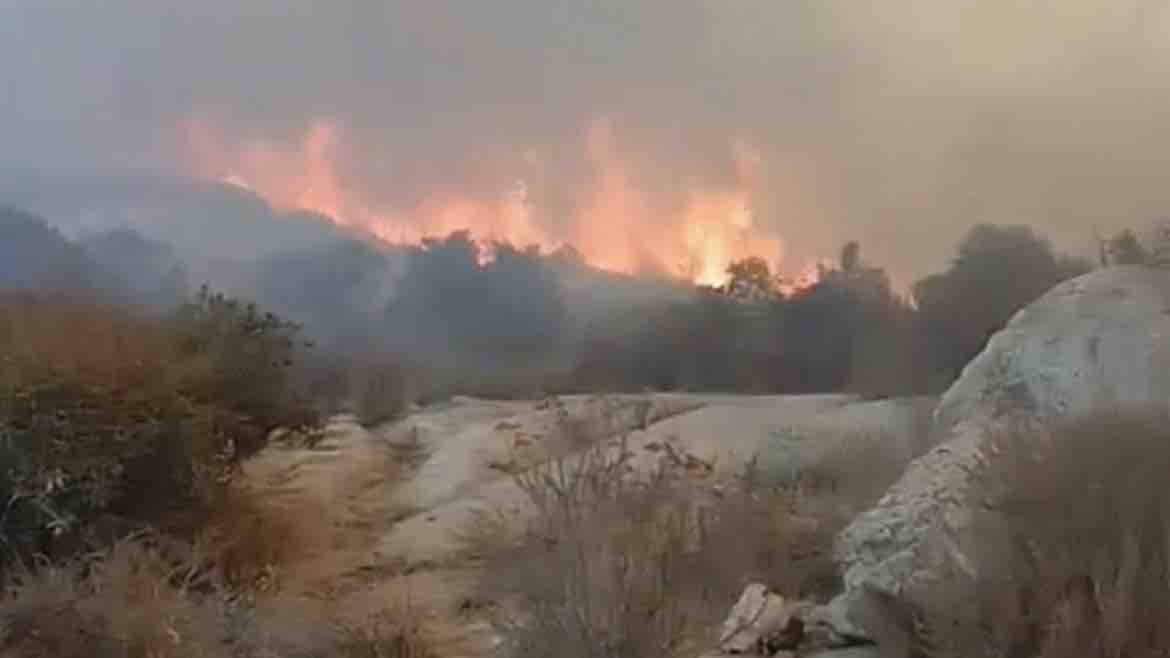 Fundraiser by Andrea Esparza : Tecate fire.