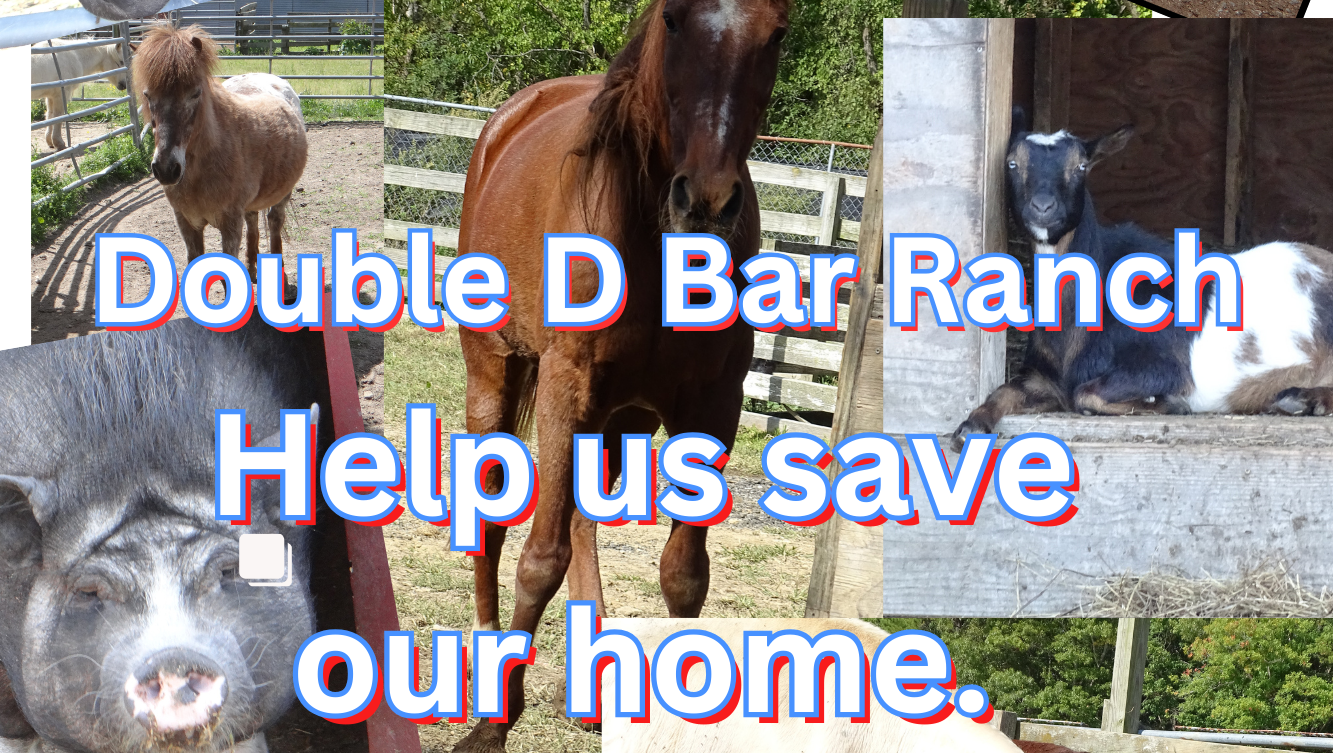 Fundraiser by Richard Devoe : Save Double D Bar Ranch: Richard's Plea