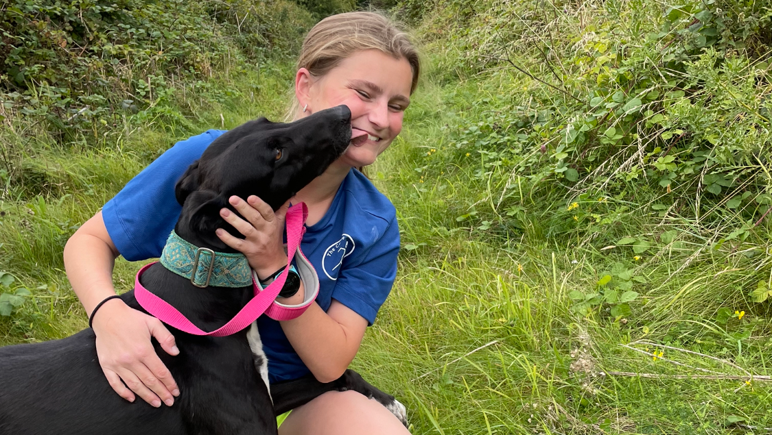 Fundraiser by Grace O’Shaughnessy : Building a shelter for all the dogs ...