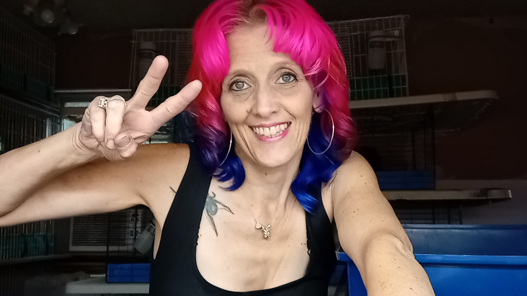 Fundraiser by Dawn Huber : Dawnie Lu's Post OP Help