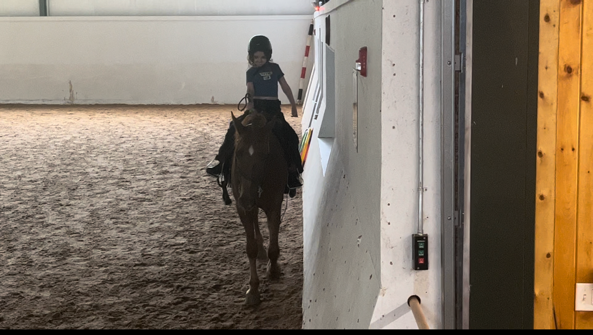 Fundraiser by Shawna Lewis : Empower Shawna: A Blind Barrel Racer's Journey