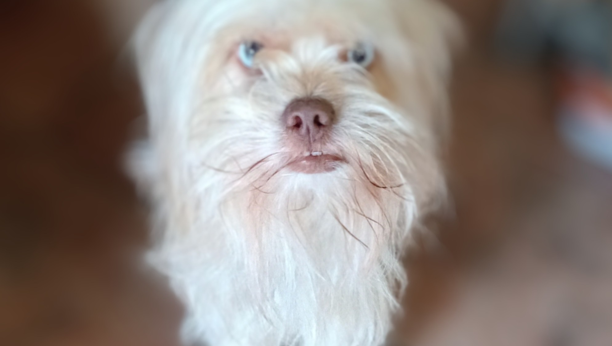 Fundraiser by Gerald Jett : Support a Dream Trip to the Redwoods