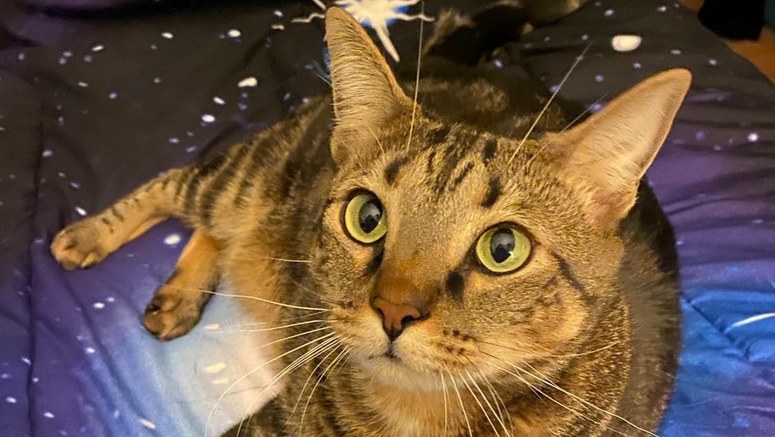 Fundraiser for Tiffany Leonard by Carissa Wheeler : Support Orion's ...