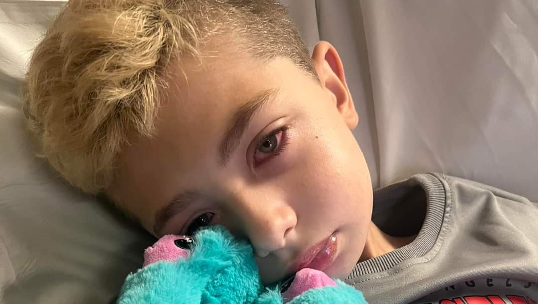 Fundraiser for Macie Johnson by Catherine Wells : Support Bentley's ...