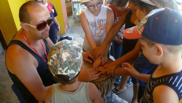 Fundraiser by Melissa Bradd : Balkan Music Camps 30th Year Anniversary 2025