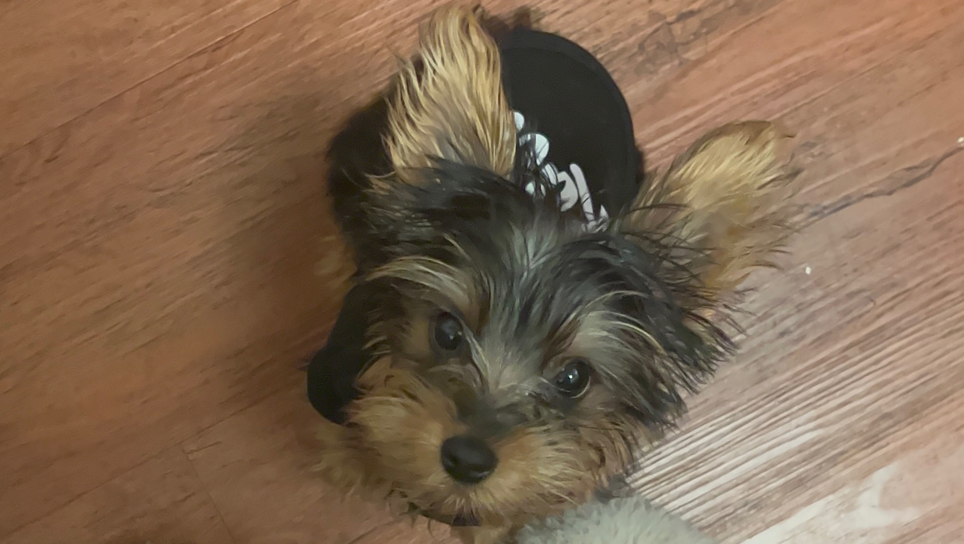 Fundraiser by Lacretia Pete : Support for Leon’s Medical Expenses After ...