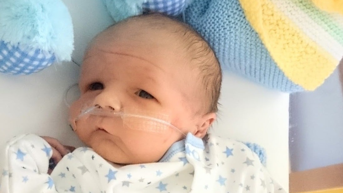 Fundraiser by Alison Cromack : George's Memorial Walk