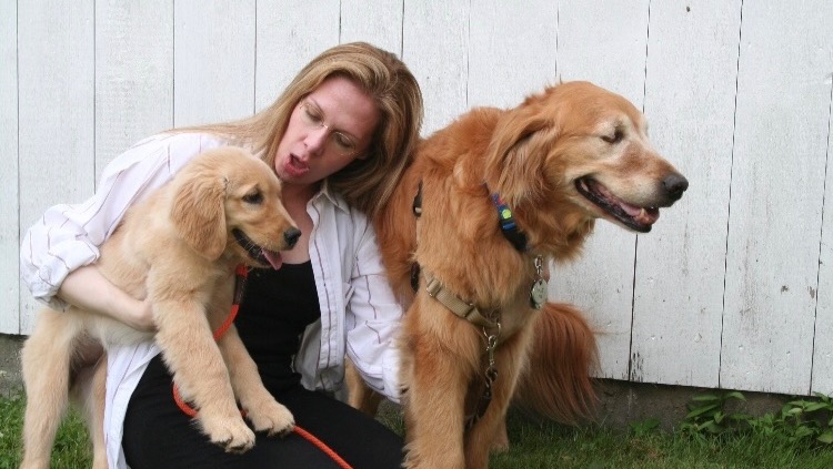 Fundraiser by Quinn Sutherland : how about those dogs