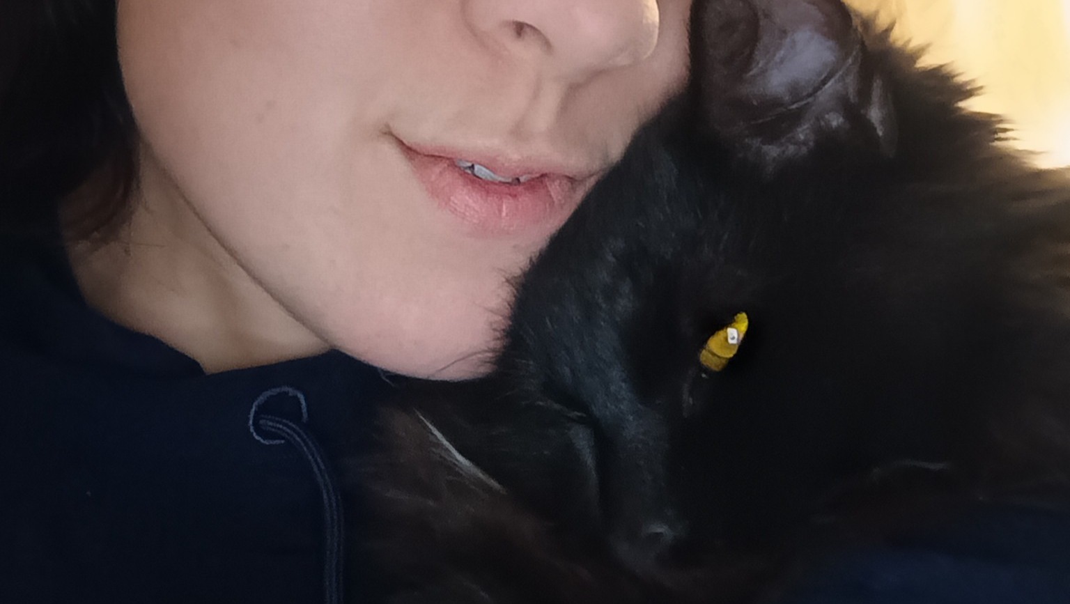 Fundraiser by Allison Allsopp : Support Dingus' Orthopedic Surgery