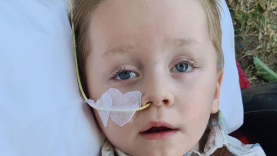 Fundraiser for Nikki Stephens by Cloe Tyler : Help Ollie Kenny Fight ...