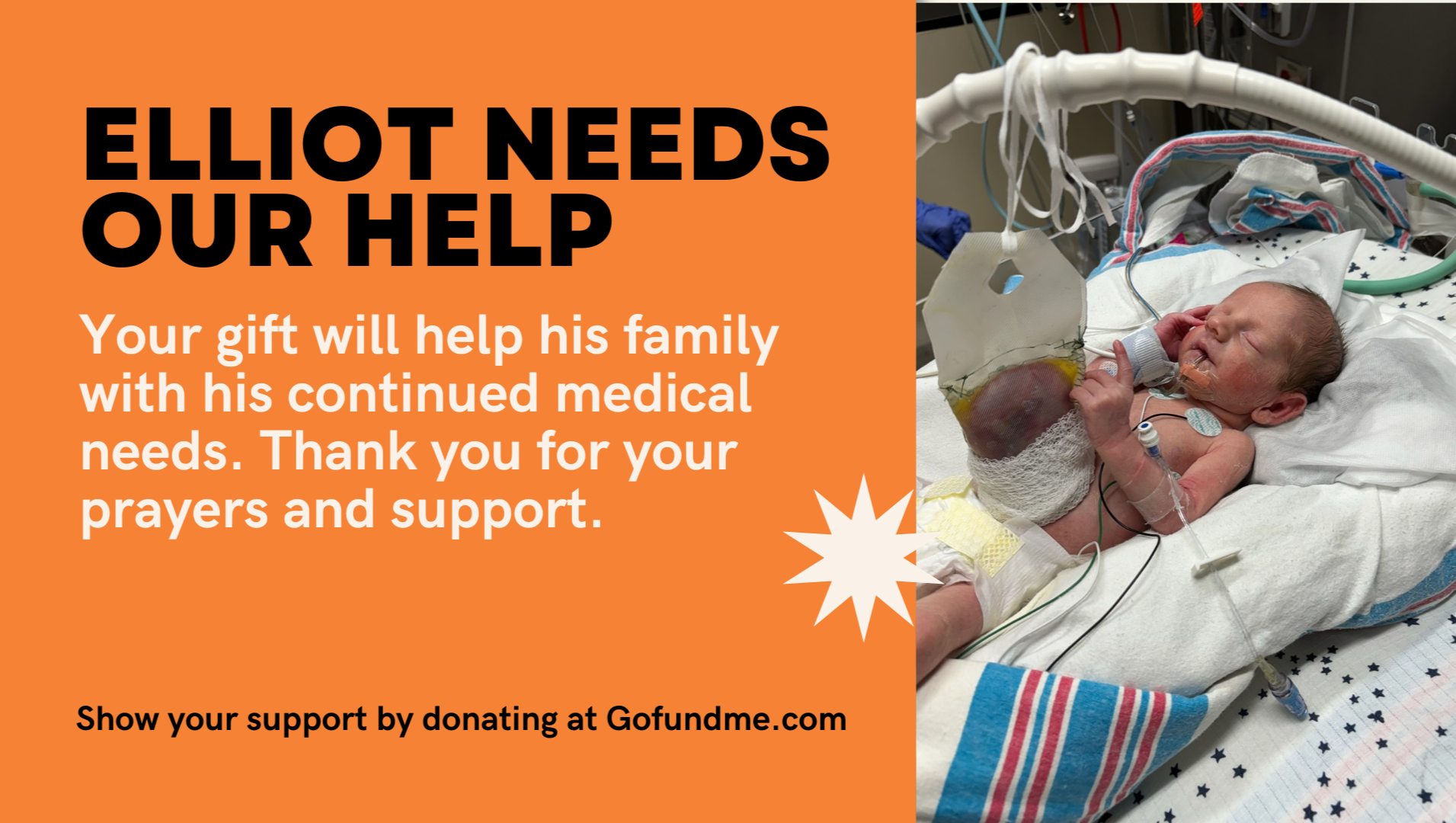 Fundraiser for Hailey Diodene by Melissa Ortega Ruddick : Help Elliot ...