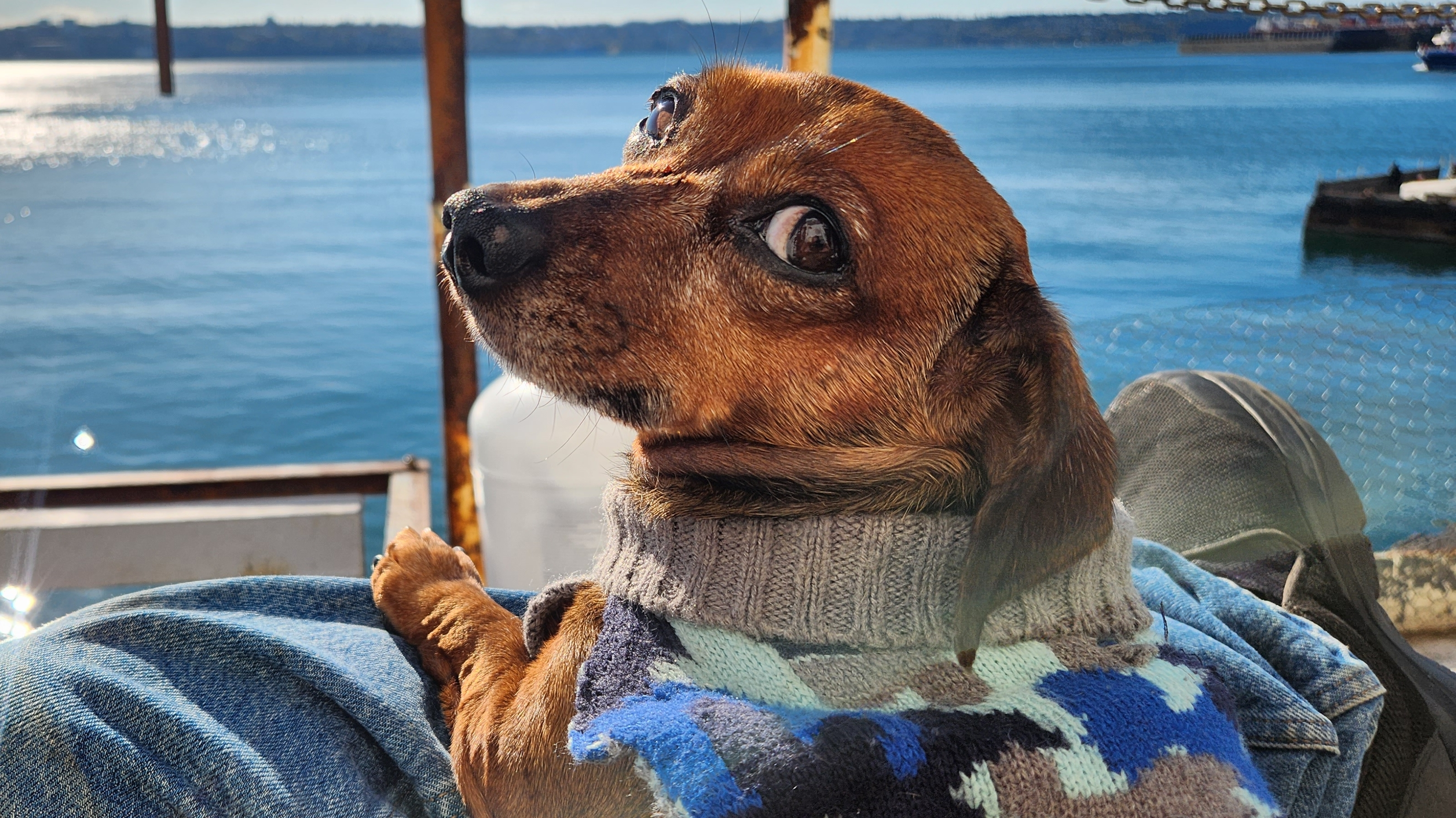 Fundraiser by Mark Avraham : Chesty Puller Sick Bay Fund