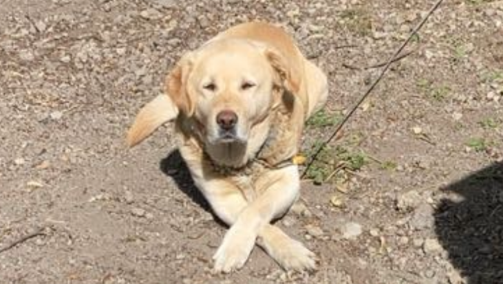 Fundraiser by Jason Deaton : Help Cletus Get the Medical Care He Needs