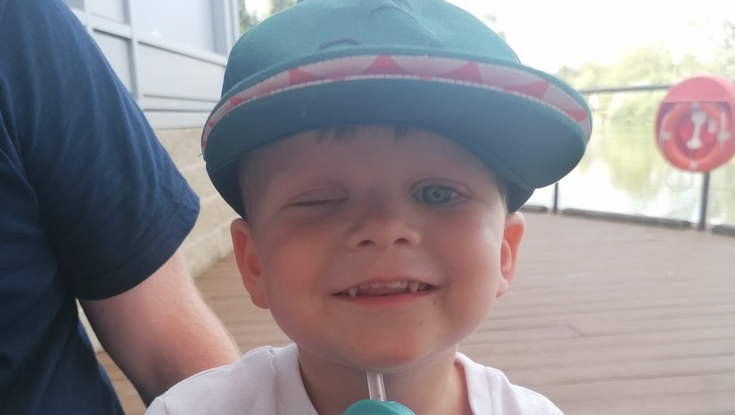 Fundraiser for Toni Day by Teri Crane : Brave Little Oliver