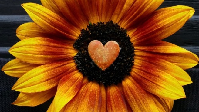 Fundraiser by Laura Ballinger : Donate to help the British Heart ...