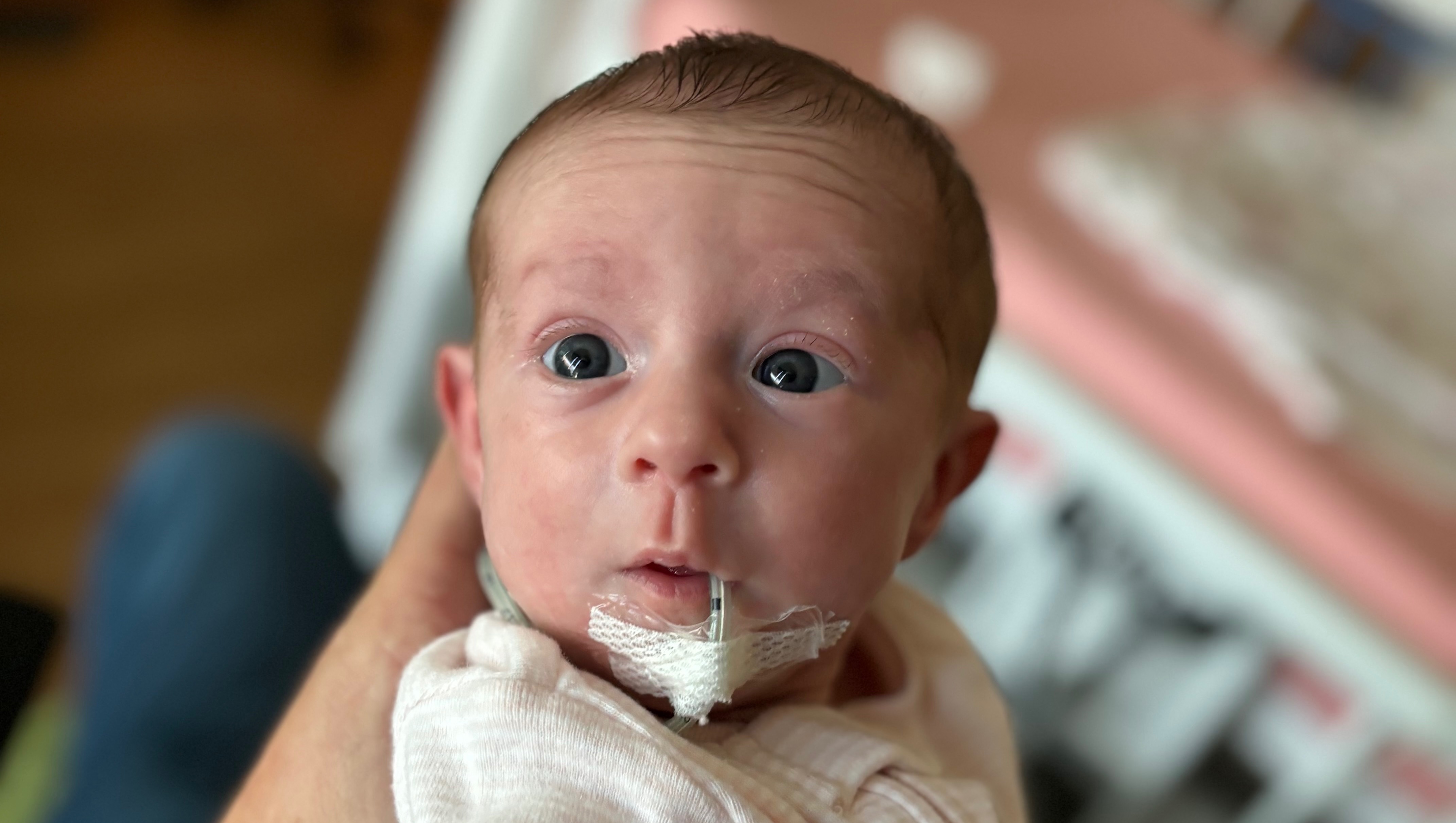 Fundraiser for Charles Schuster by Anna Hall : Help Support Baby ...