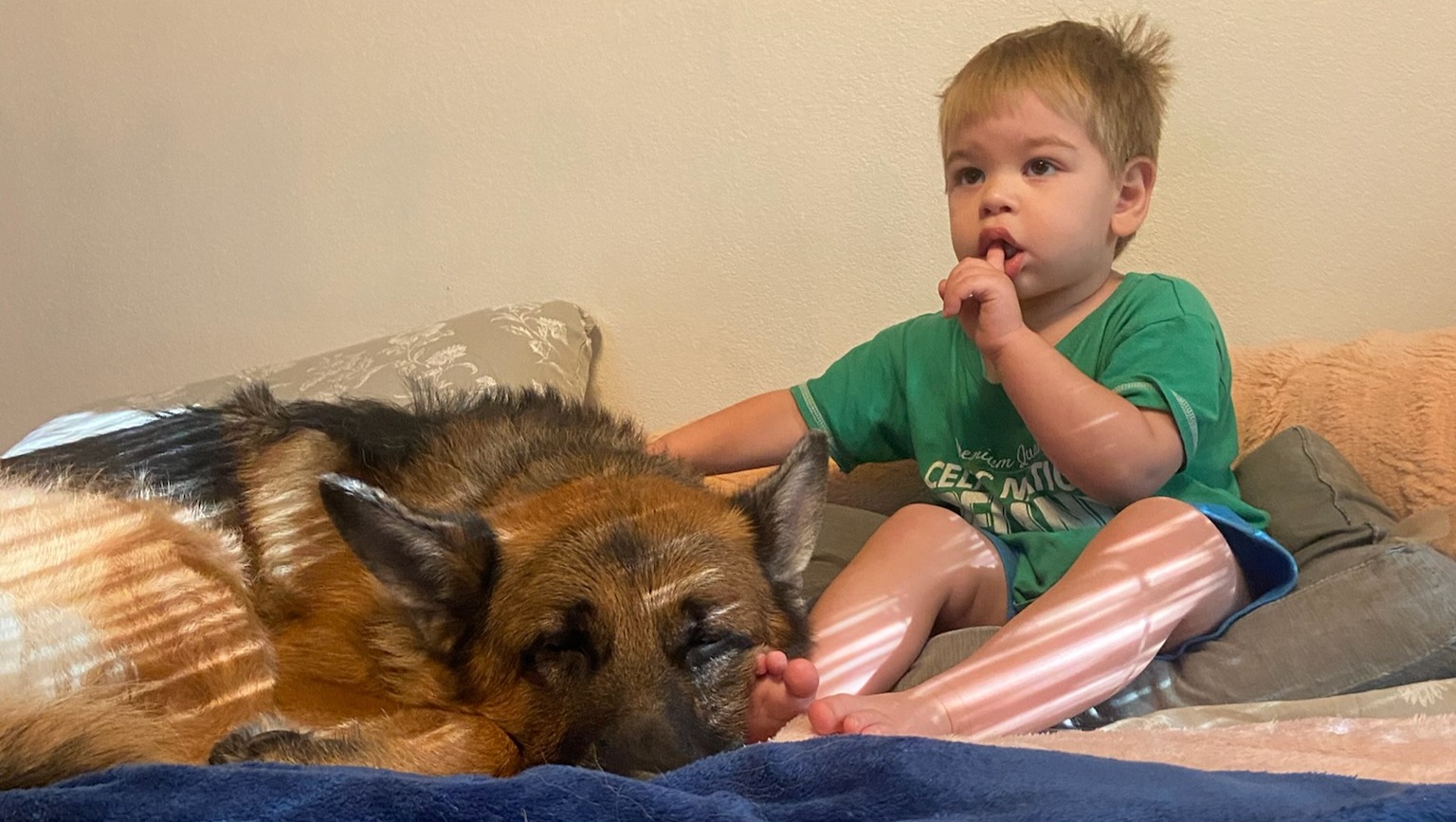 Fundraiser for Avery Ittner by Julie Baskerville : Help Jax Heal: Support the Ittner Family's ...