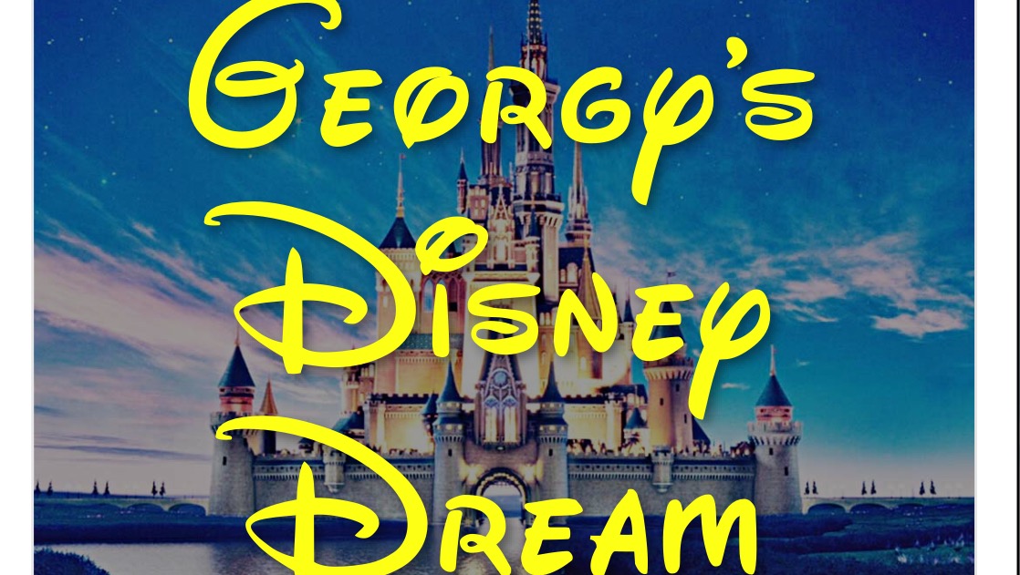 Fundraiser by Nantwich Collectables : Georgy’s Disney Dream