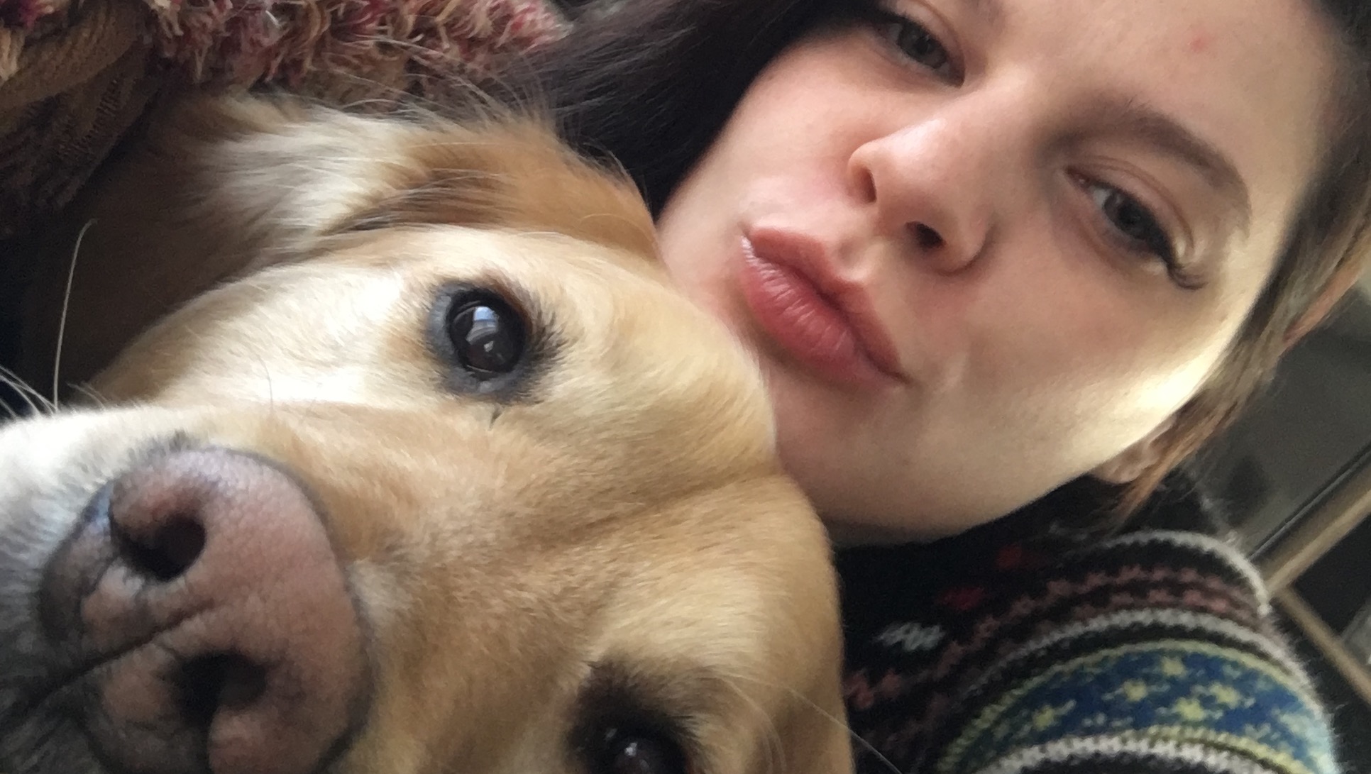 Fundraiser by Taylor Fitzgerald : Help Taylor and Champ(Golden ...