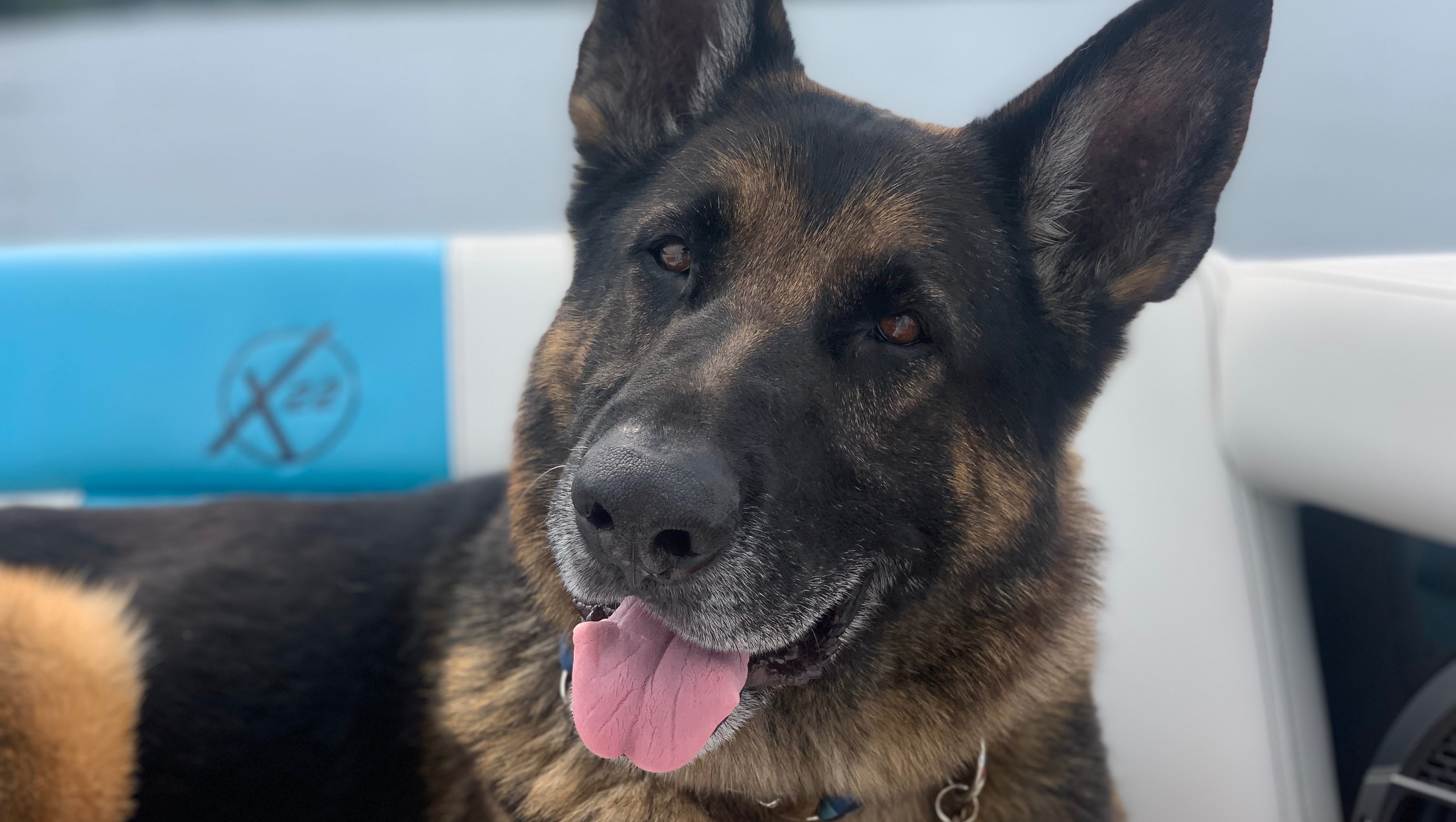 Fundraiser by Timmy McNamee : Please Help Mason get the best treatment ...