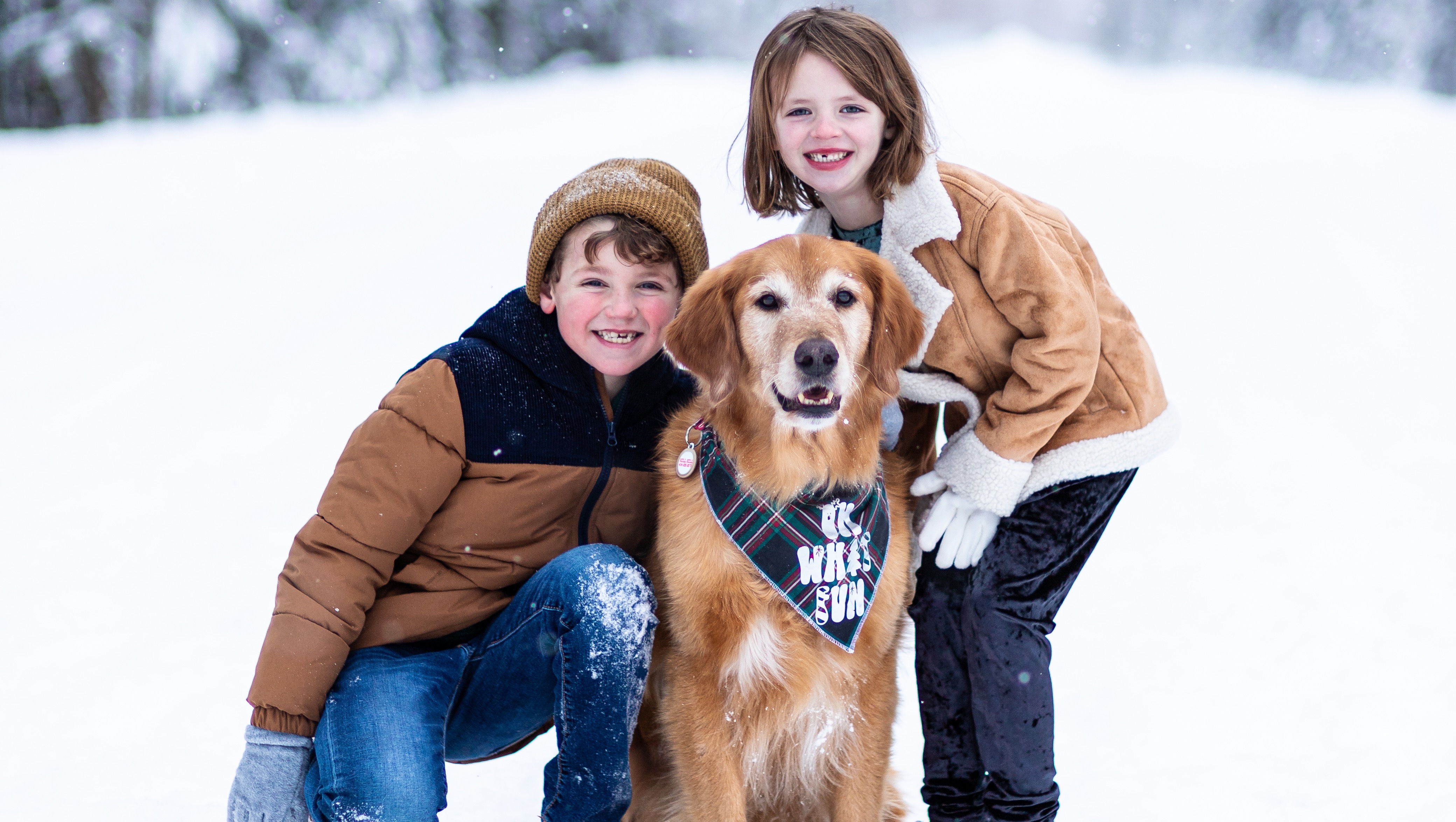 Fundraiser by Kensie Arnold : Bill Bill’s Life Saving Leg Surgery