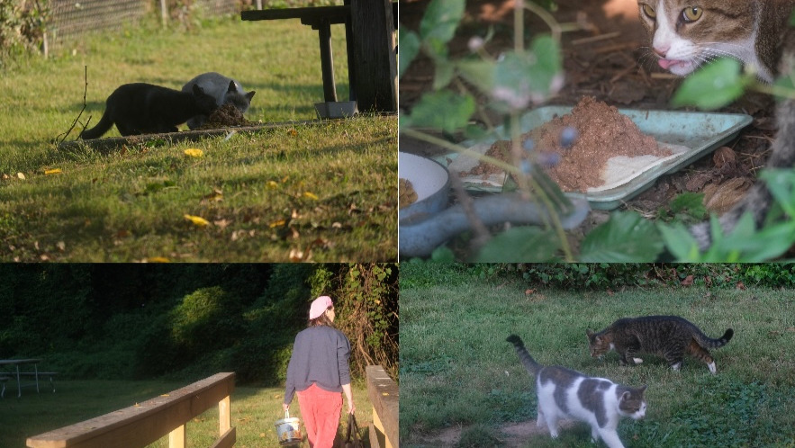 Fundraiser for Jamie Bengtson by Jamie Poole : Help a 70-Year-Old ...