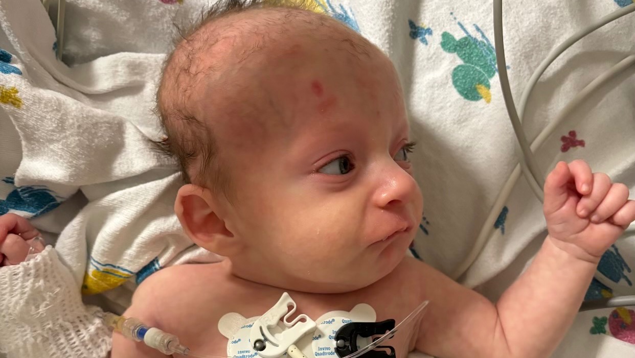 Fundraiser for Hailey Starkey by Stephanie Paul : Please help Zedekiah ...