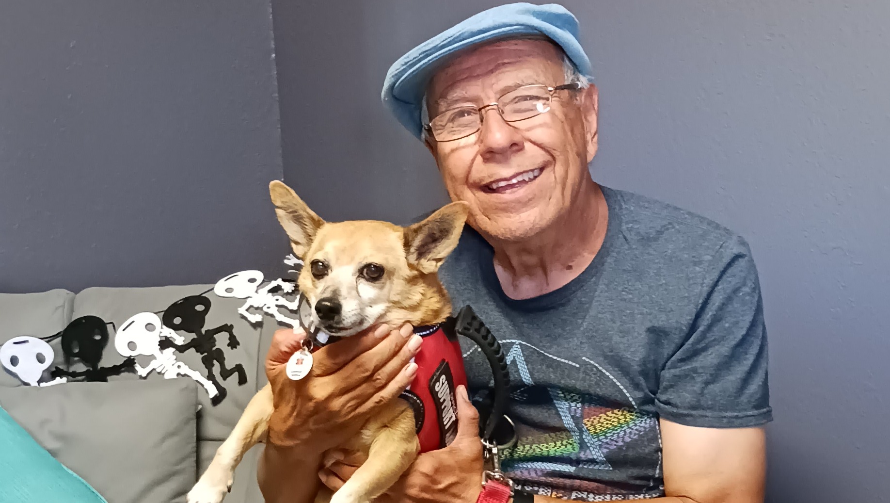 Fundraiser by Robert Triviso : Support Sunflower's Surgery for Comfort