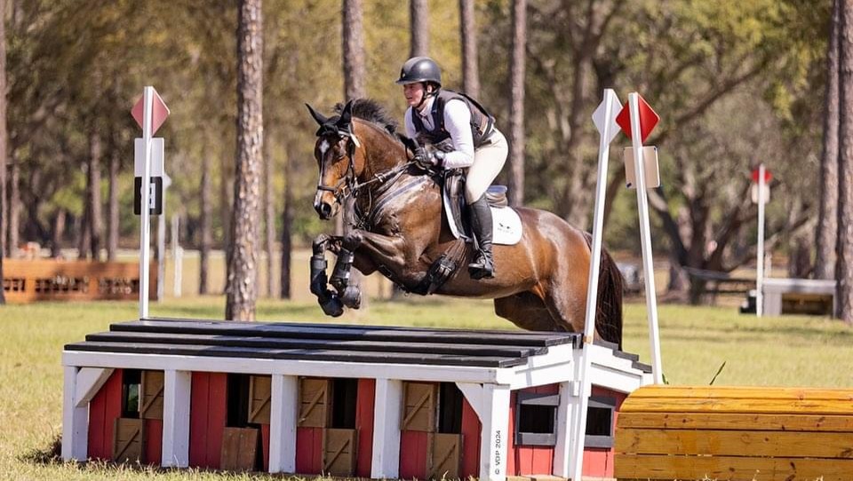 Fundraiser for Ella MacMaster by Sarah Hudson : In Honor of Scotty