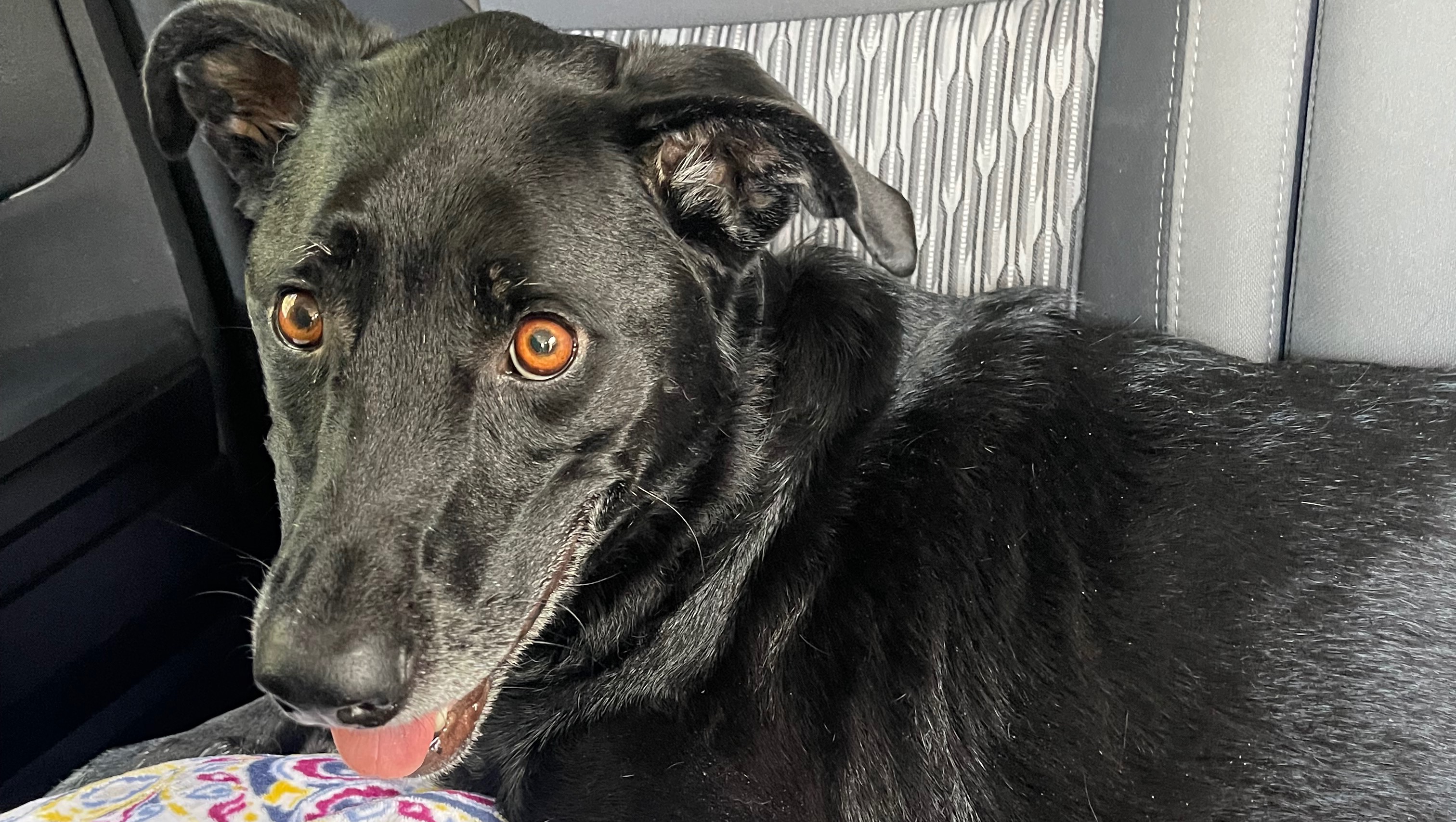 Fundraiser for Matthew JETTER by Courtney jetter : Help us continue to ...